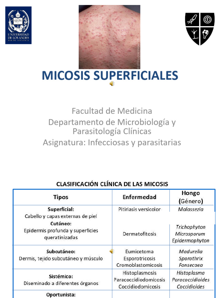 Micosis Superficiales en PDF | PDF | Micología | Microbiología