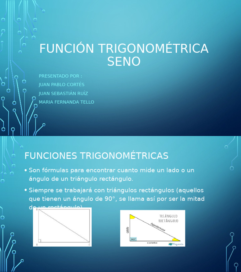Función Trigonométrica Seno | PDF