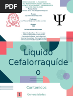 Conducto Ependimario | PDF | Sistema nervioso central | Anatomía humana