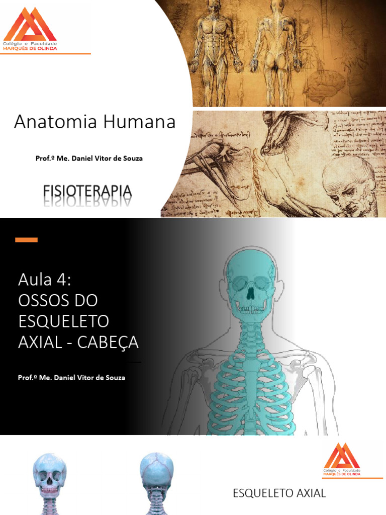 Aula 4 - Ossos Do Crânio | PDF | Crânio | Esqueleto