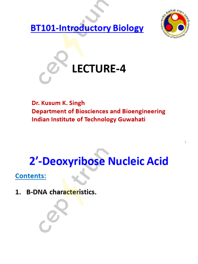 Lecture-4 - DNA Structure | PDF | Nucleic Acid Double Helix | Dna