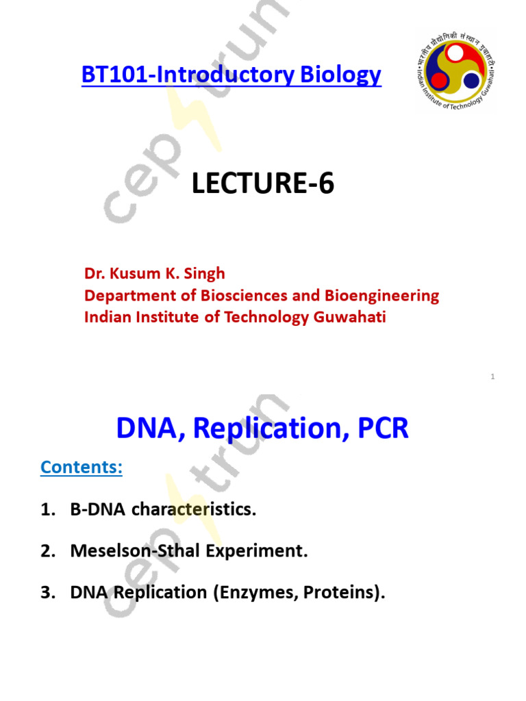 Lecture-6 - Replication, PCR, Sequencing | PDF | Dna Replication | Dna