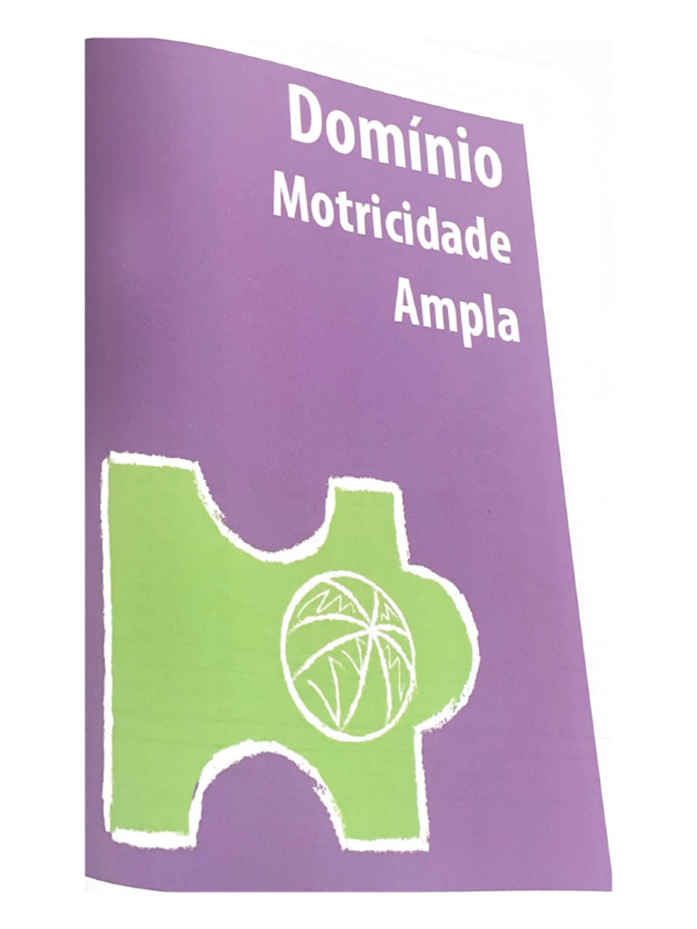 IDADI - Domínio - MOTRICIDADE AMPLA | PDF