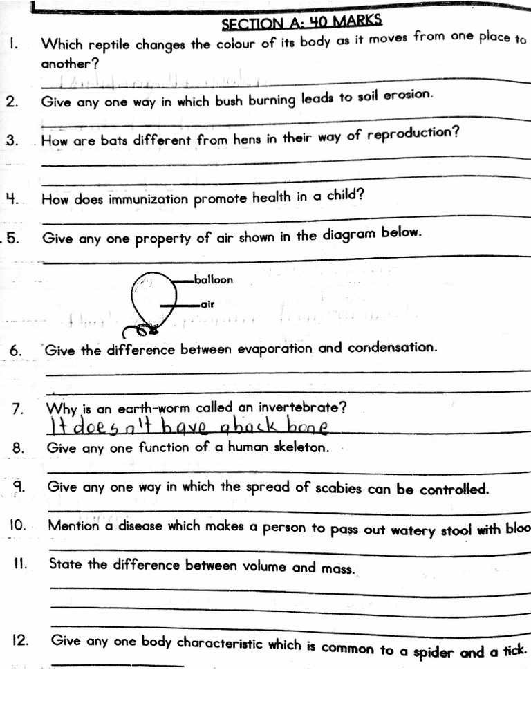 ACE Scanner - 2025 - 05 - 01 | PDF