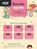 Anatomía del Escroto y Testículos | PDF | Testículo | Especialidades ...