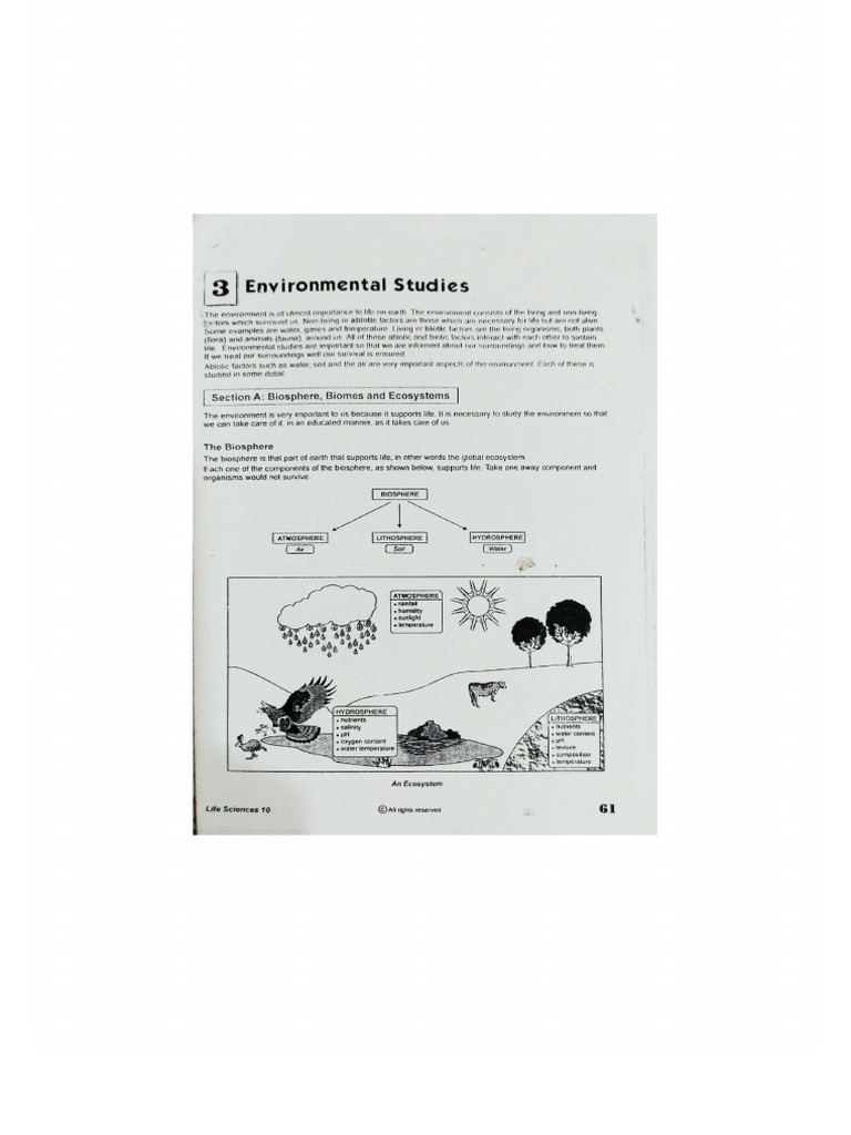 Life Science PDF | PDF