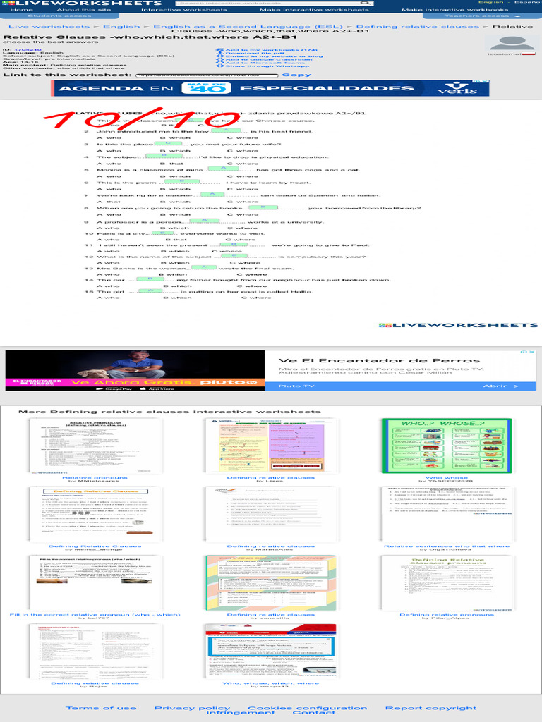 Relative Clauses - Who, Which, That, Where A2+-B1 Worksheet | PDF