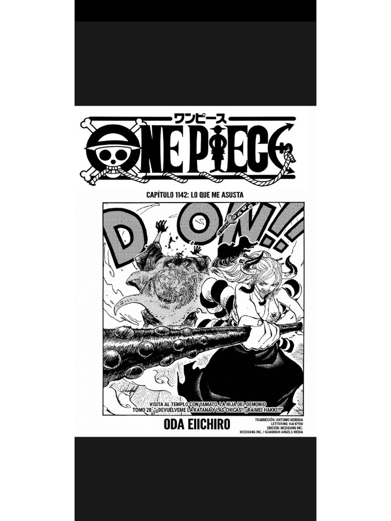 Manga de One Pice | PDF