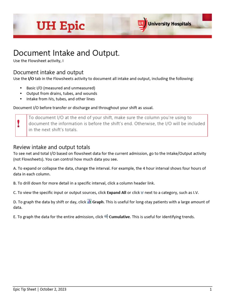 Epic I/O Flowsheet Documentation Guide | PDF