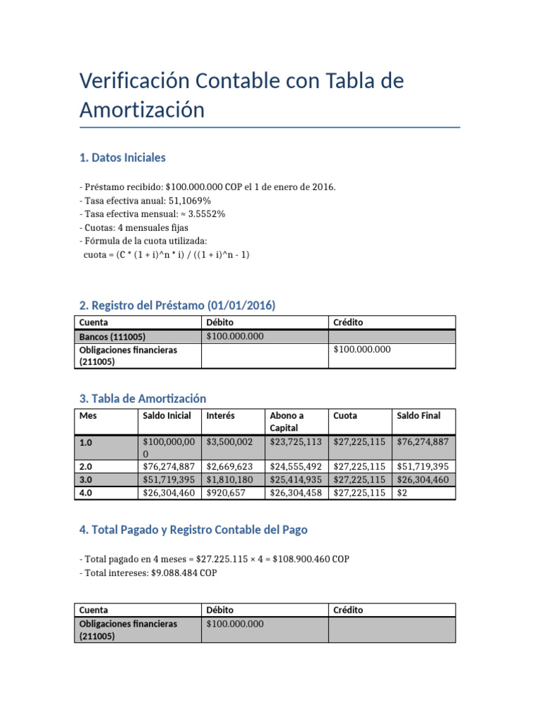 Informe Contable Completo Con Amortizacion | PDF