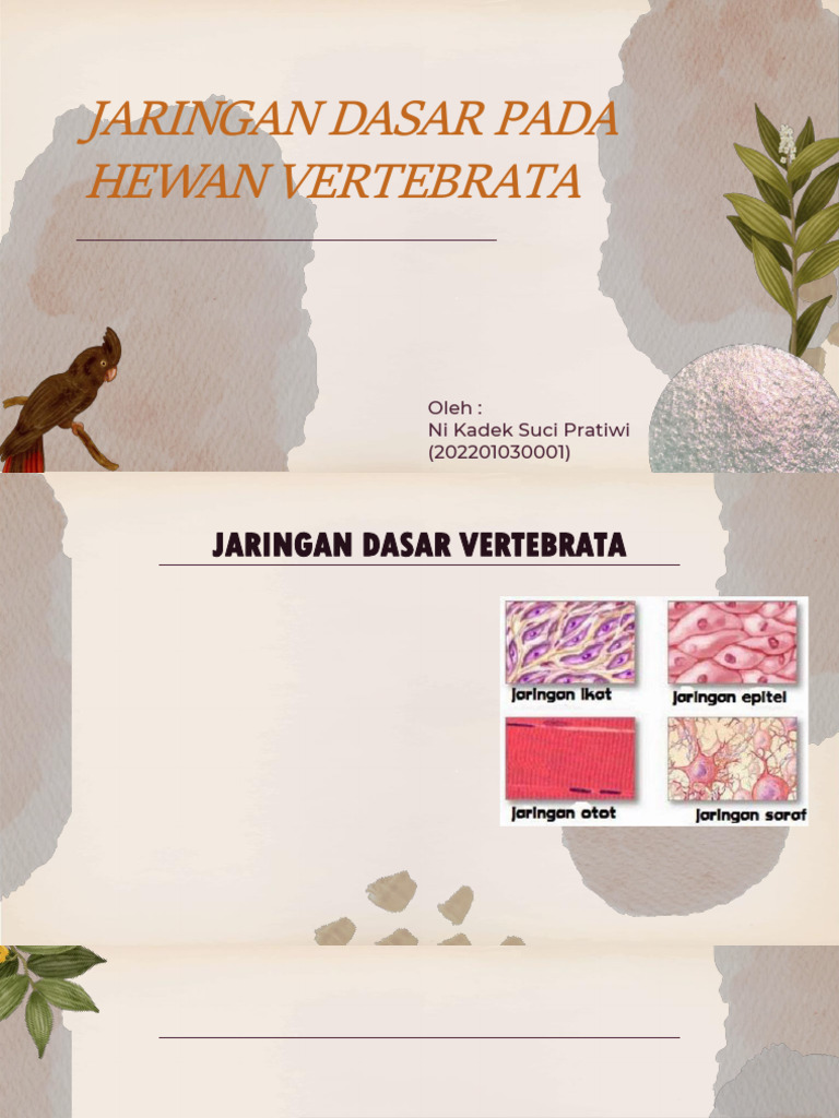 Ni Kadek Suci Pratiwi_Ppt Jaringan Dasar Pada Hewan vertebrata | PDF
