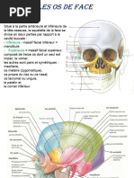 Anatomie et Fractures du Rocher | PDF | Tête et cou chez l'humain ...