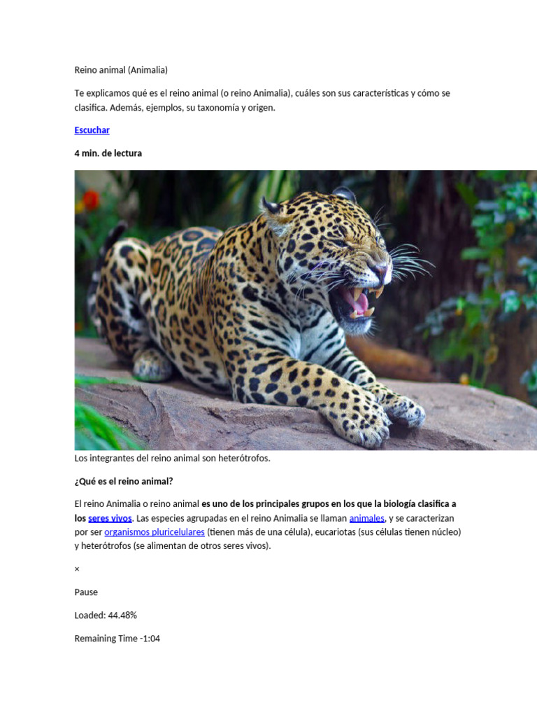 El Reino Animal | PDF | Plantas | Eucariotas