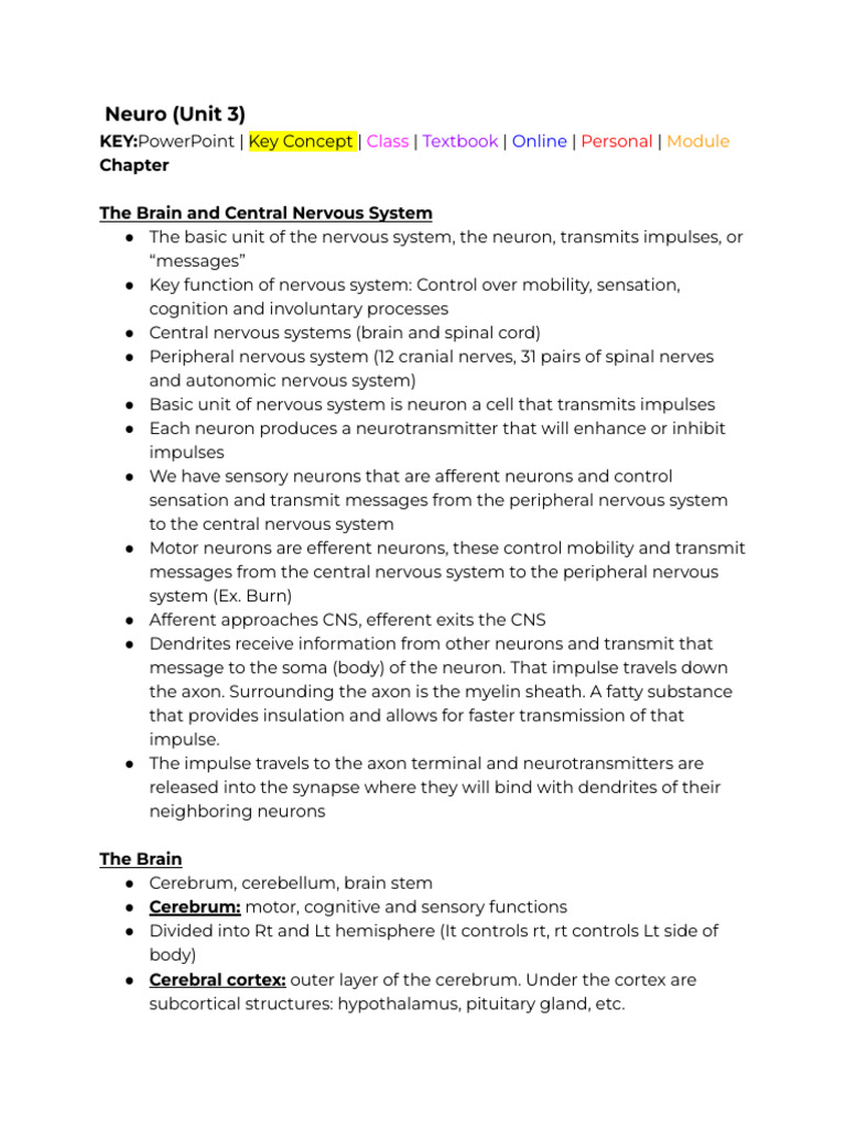 Exam 2 - Unit 3 - Neuro | PDF | Nervous System | Central Nervous System