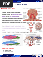 Bamford Classification of Stroke | PDF | Science & Mathematics