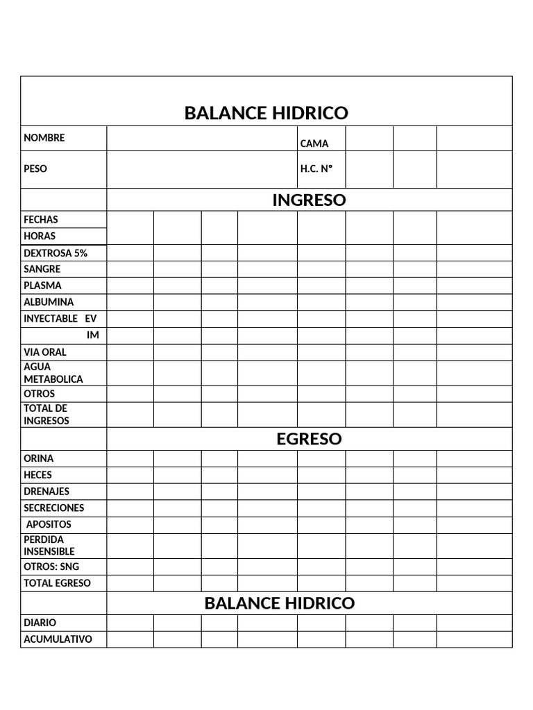 Balance Hidrico - Formato Practica | PDF