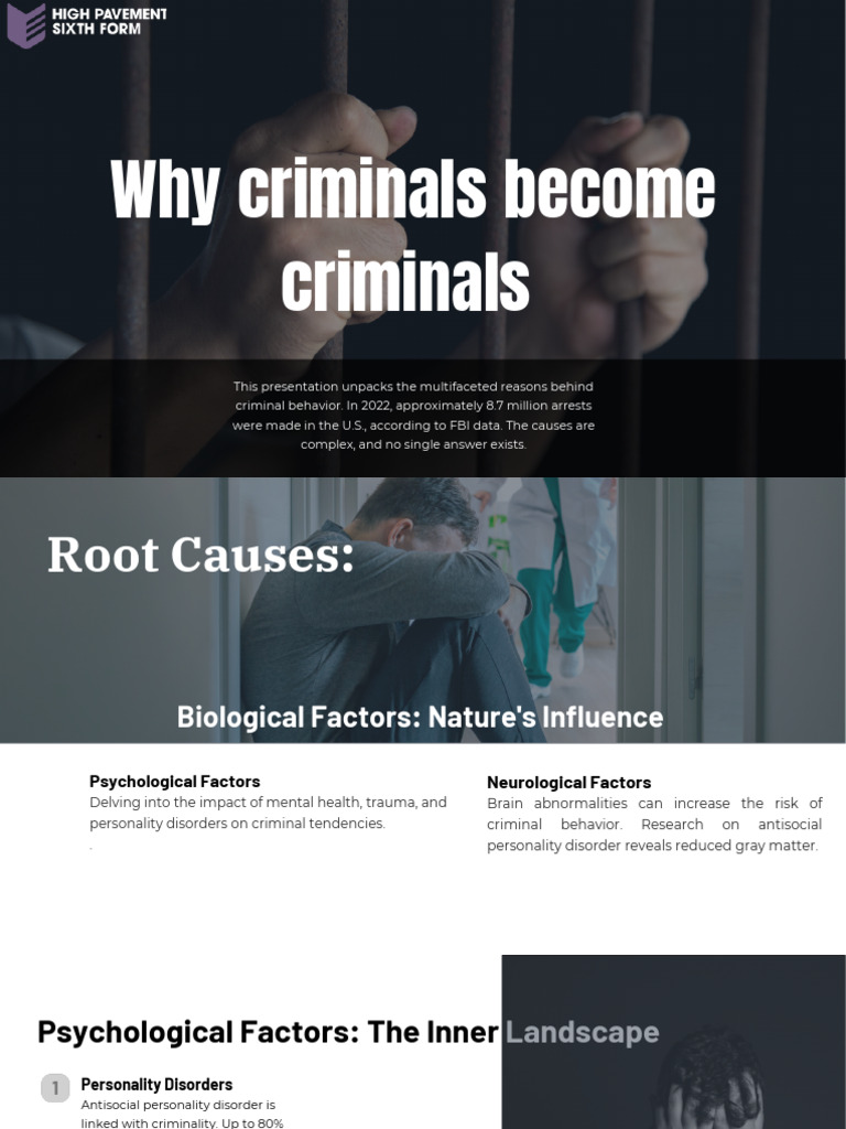 Understanding Criminal Behavior Factors | PDF | Crimes | Crime & Violence
