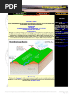 Bradshaw Model | PDF