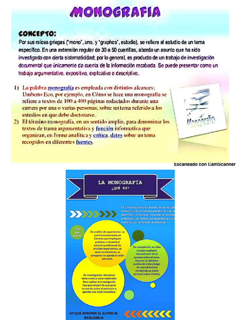Monografía - Moni Quiroga | PDF