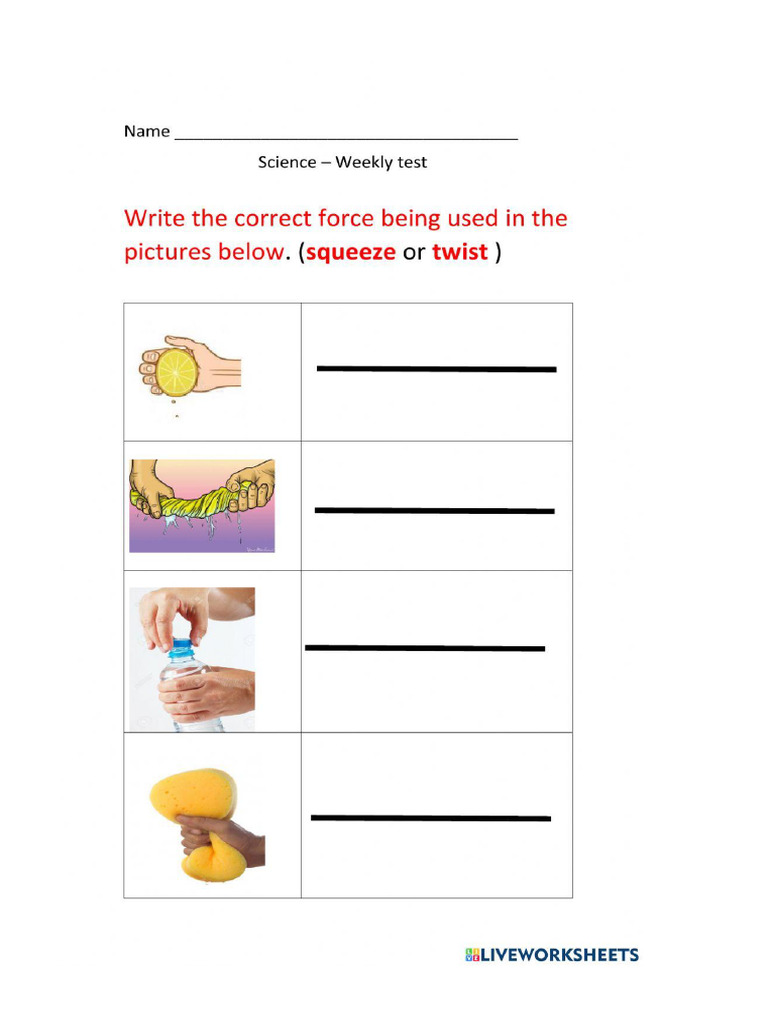 Forces Worksheet. | PDF