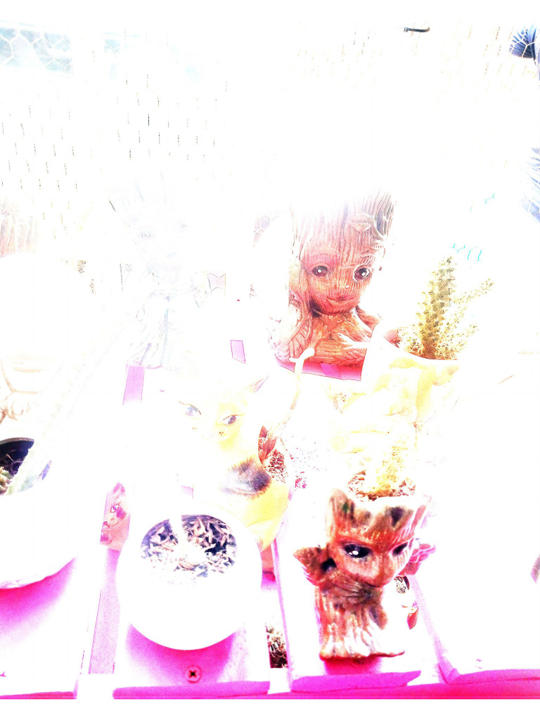 PDFReader 20250504 1 | PDF