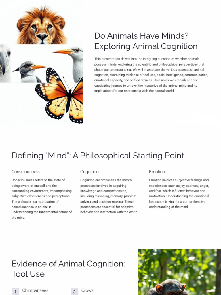 Animal Cognition: Do Animals Have Minds? | PDF | Self Awareness | Mind