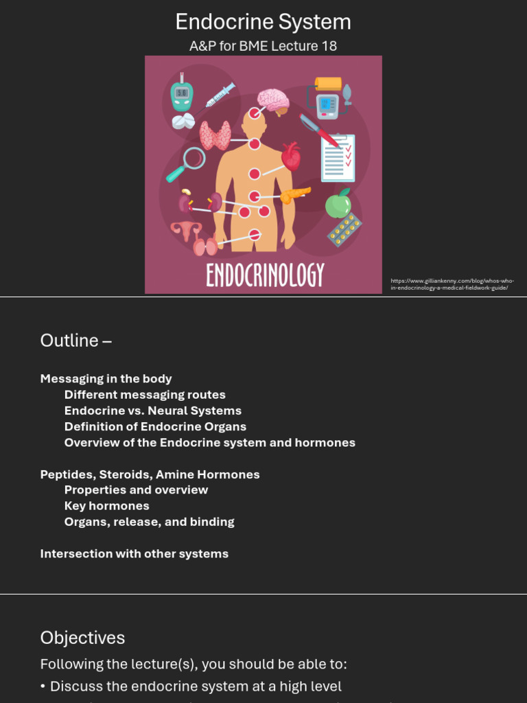 Overview of the Endocrine System | PDF | Endocrine System | Adrenal Gland