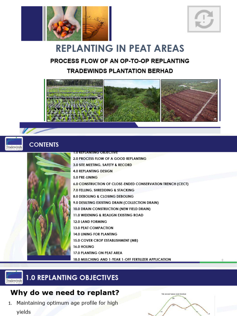 PRESENTATION REPLANTING IN PEAT - THE PROCESS FLOW (21.07.2023) - 1 (1) - Compressed | PDF ...