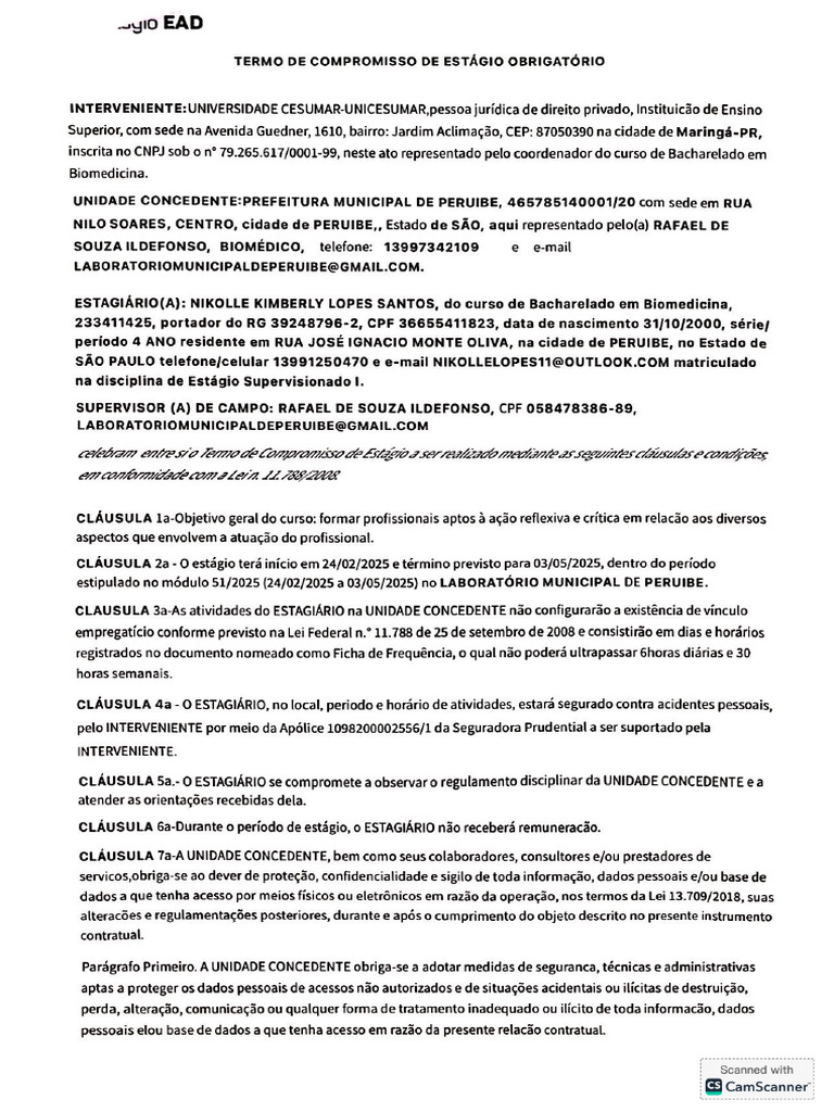 Termo de Compromisso Atualizado | PDF