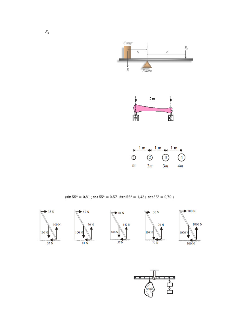 Consigna Saber Torque | PDF | Fricción | Balanza
