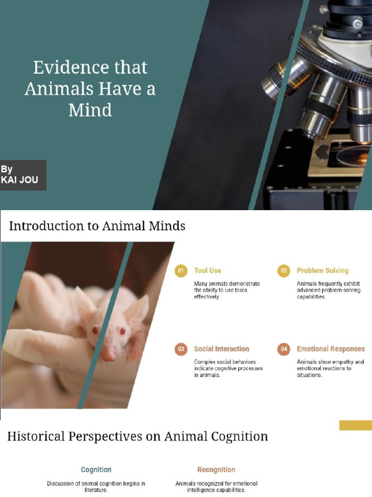 Untitled Presentation 1 | PDF