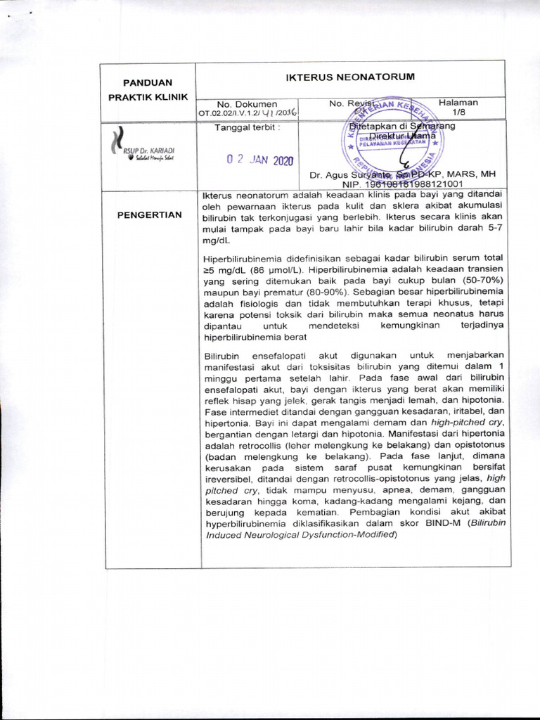 2020 04 02 12 39 35 - PPK - Ikterus - Neonatorus | PDF