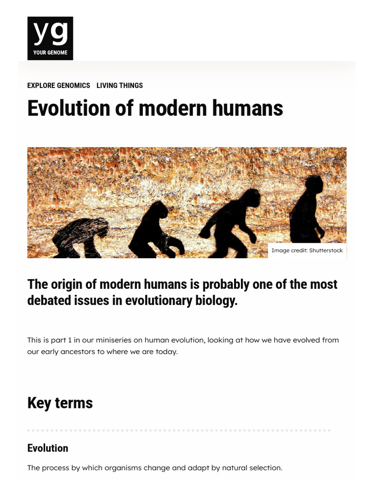 Evolution of Modern Humans - Where Did We Come From | PDF ...
