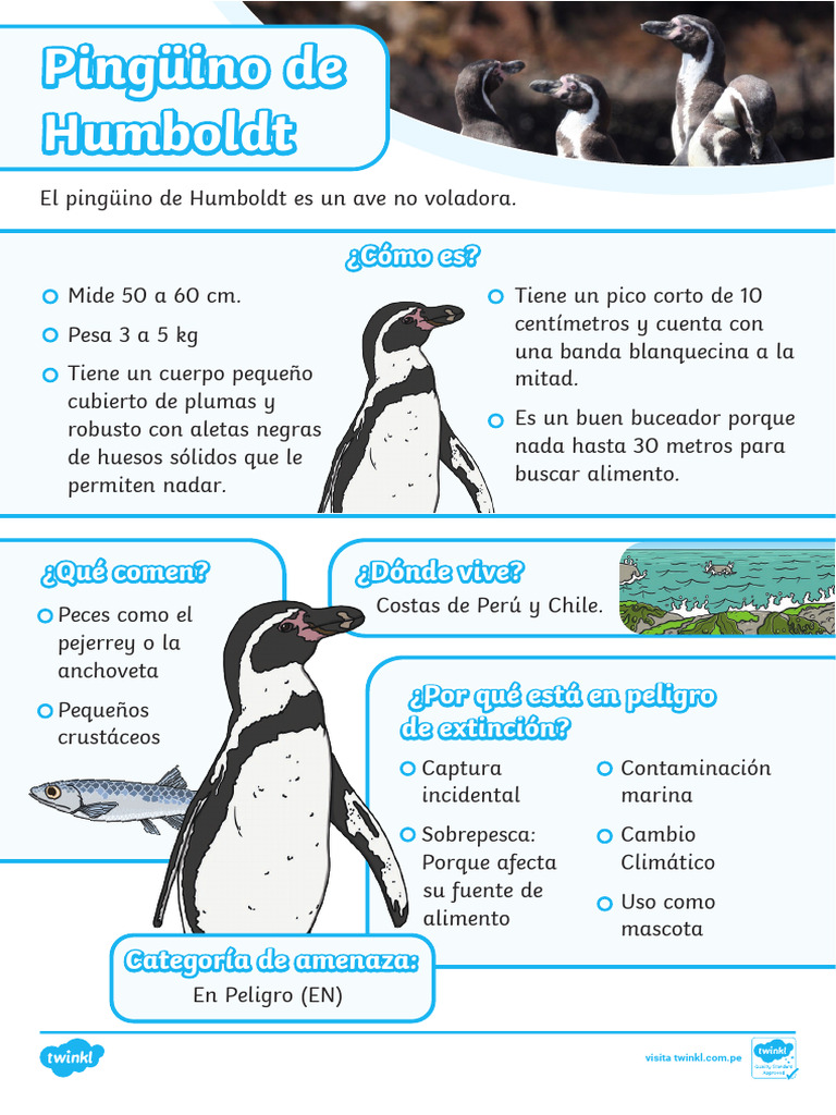 Sa CN 1730601105 Texto Informativo Pinguino de Humboldt - Ver - 2 | PDF