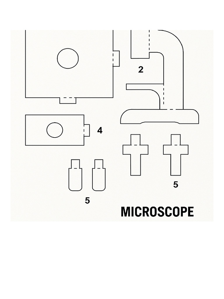 Microscopio Carton Armable | PDF