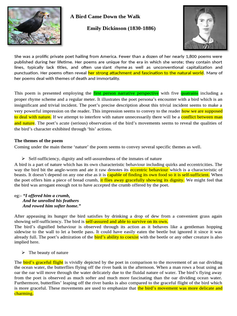 Notes of A Bird Came Down The Walk | PDF | Poetry | Metre (Poetry)