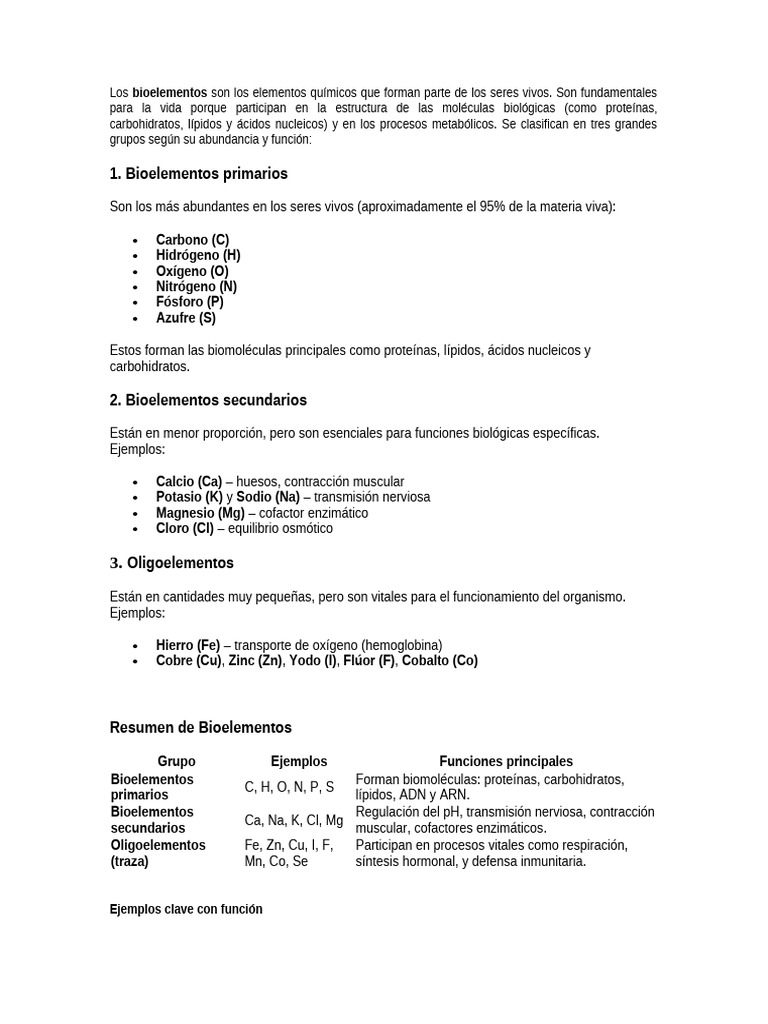 Los Bioelementos Son Los Elementos Químicos Que Forman Parte de Los ...