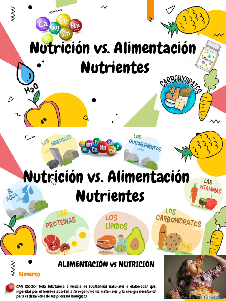 Clase 1 y 2 - Nutricion Vs Alimentacion. Nutrientes | PDF | Ácido graso ...