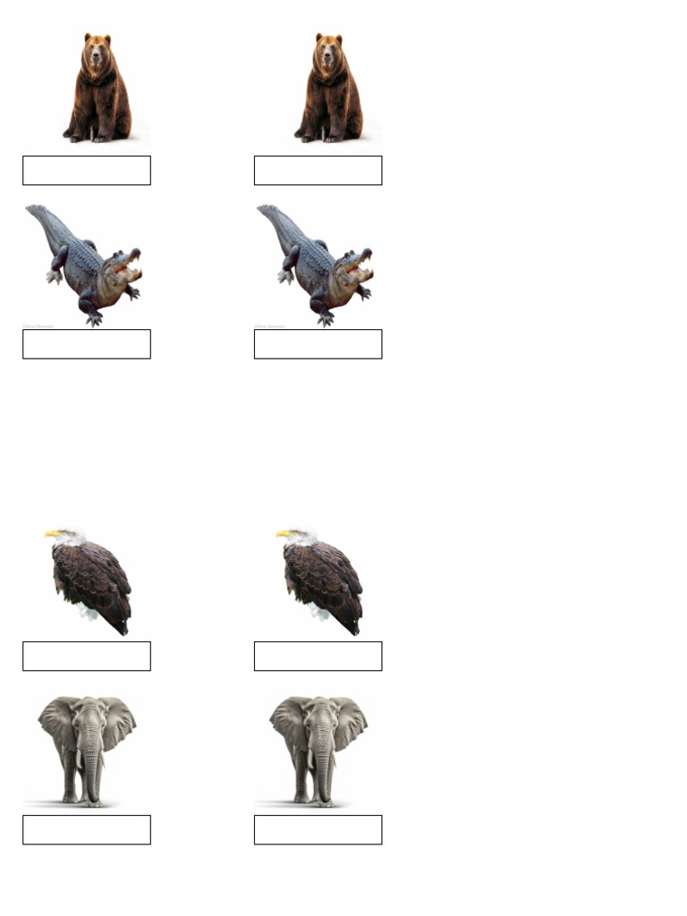 Montessori Wild Animals | PDF