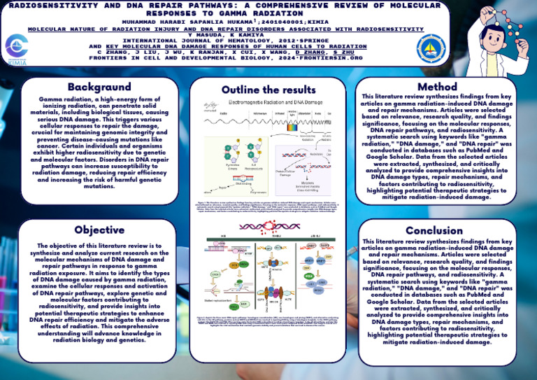 PosterBiologi Muhammad Harabi Sapanlia Hukama 2401040001 KIMIA 2 | PDF ...