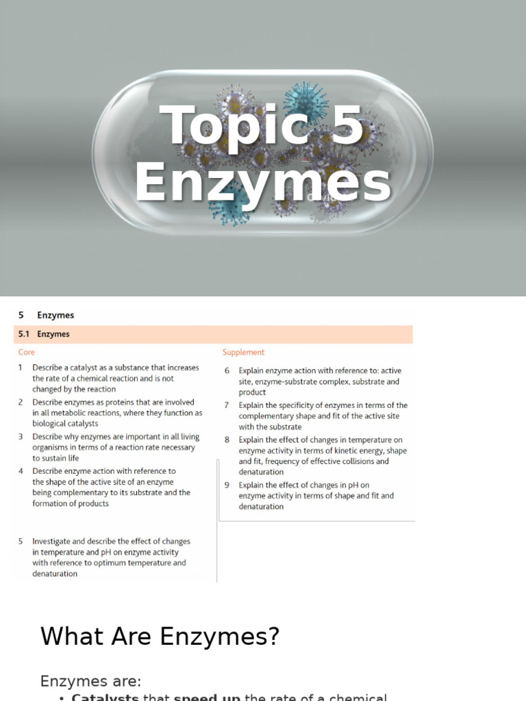 _Unit 5 Enzymes | PDF | Enzyme | Active Site