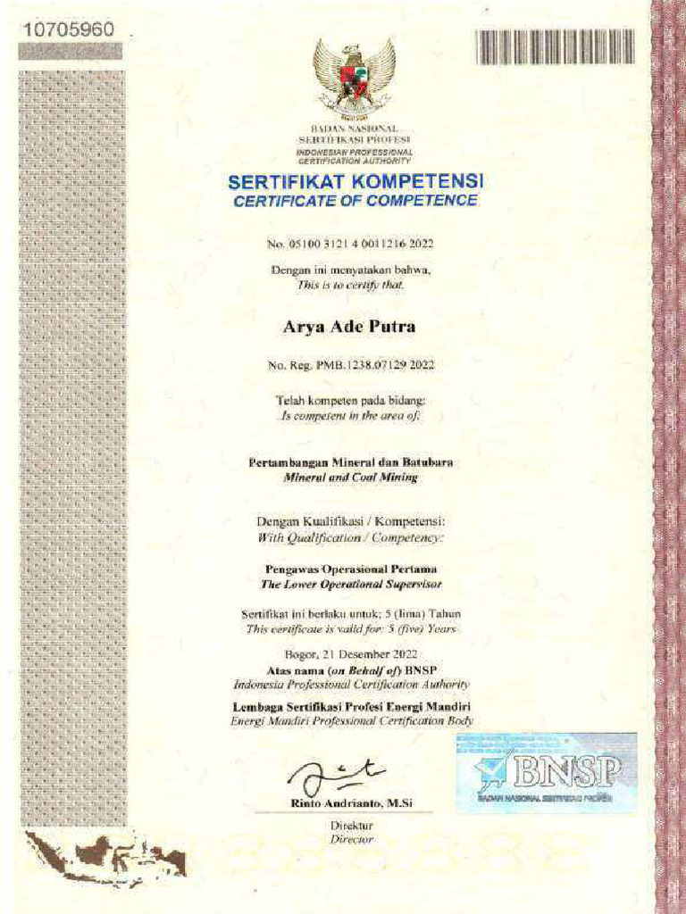 Arya Ade Putra-12 | PDF