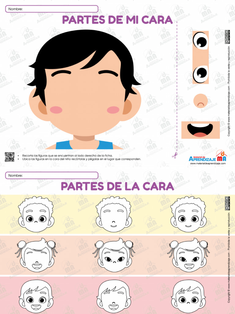 Las Partes de La Cara 4 Años COLOR | PDF