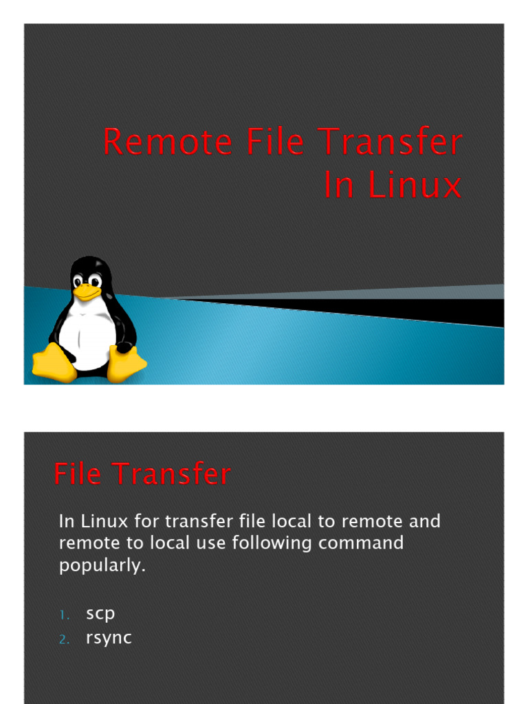 Remote File Transfer | PDF
