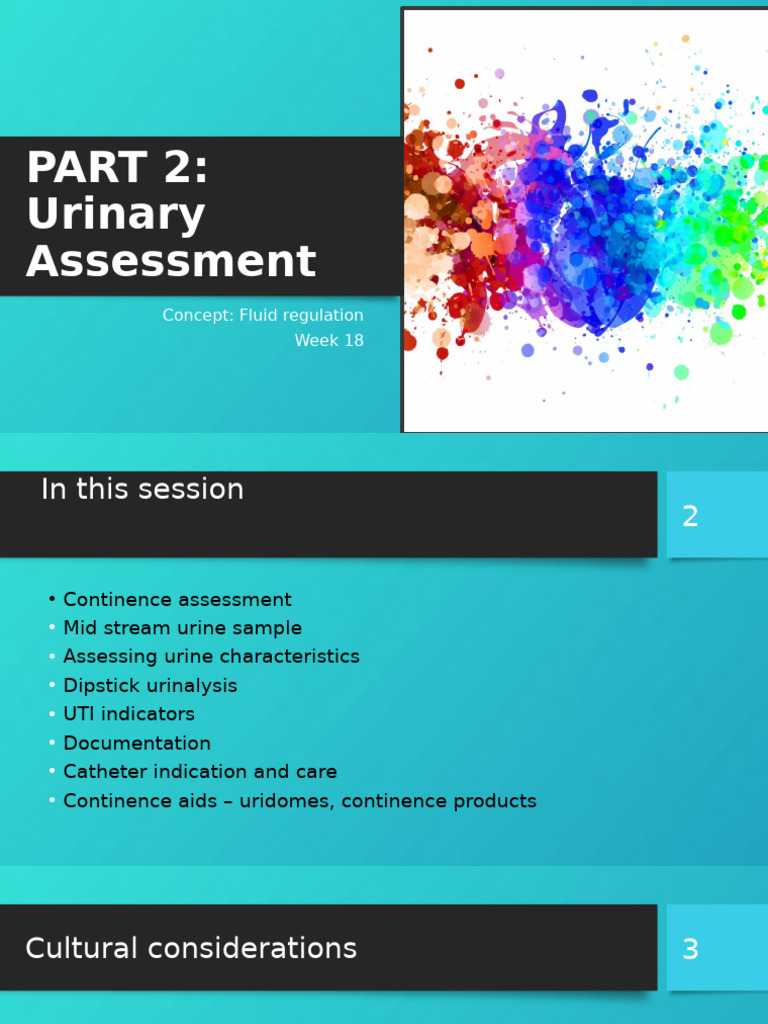 2024 Part 2 Nursing Assessment Urinary Elimination (Tutor) | PDF ...