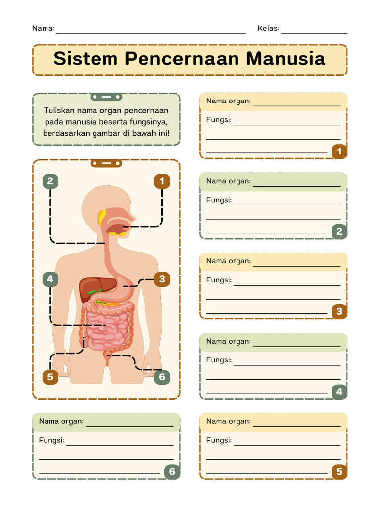 LKPD IPAS Sistem Pencernaan | PDF
