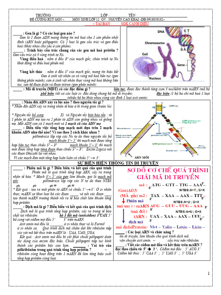 DE CUONG RUT GON ONTHI TN 2025 final | PDF