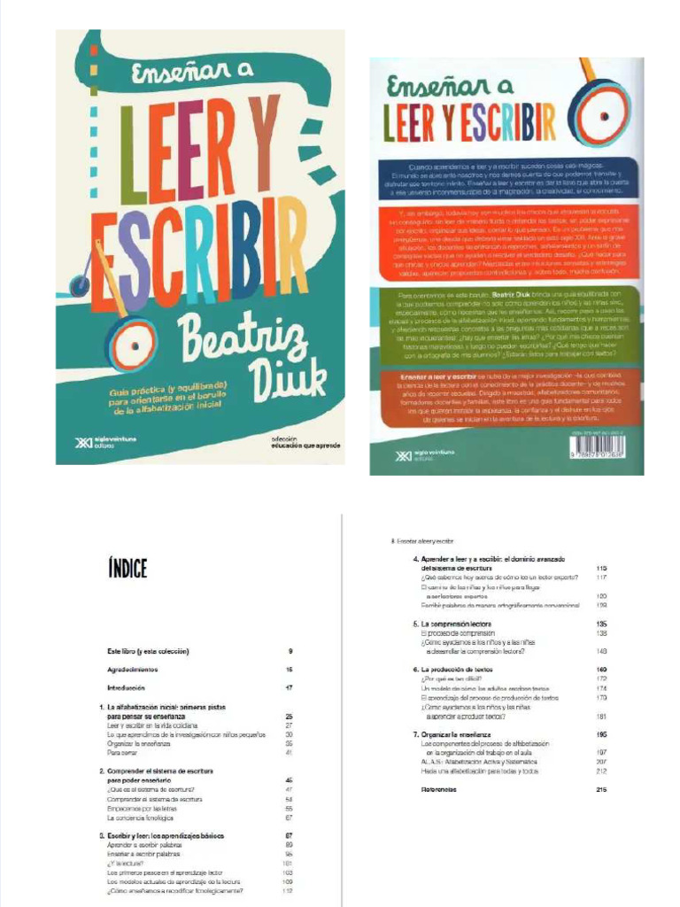 Diuk Enseñar A Leer y Escribir | PDF