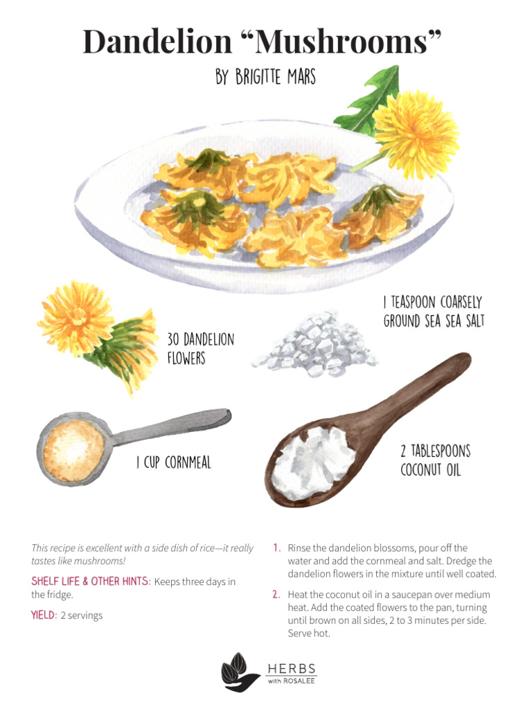 POD Brigitte Mars Dandelion Mushrooms | PDF