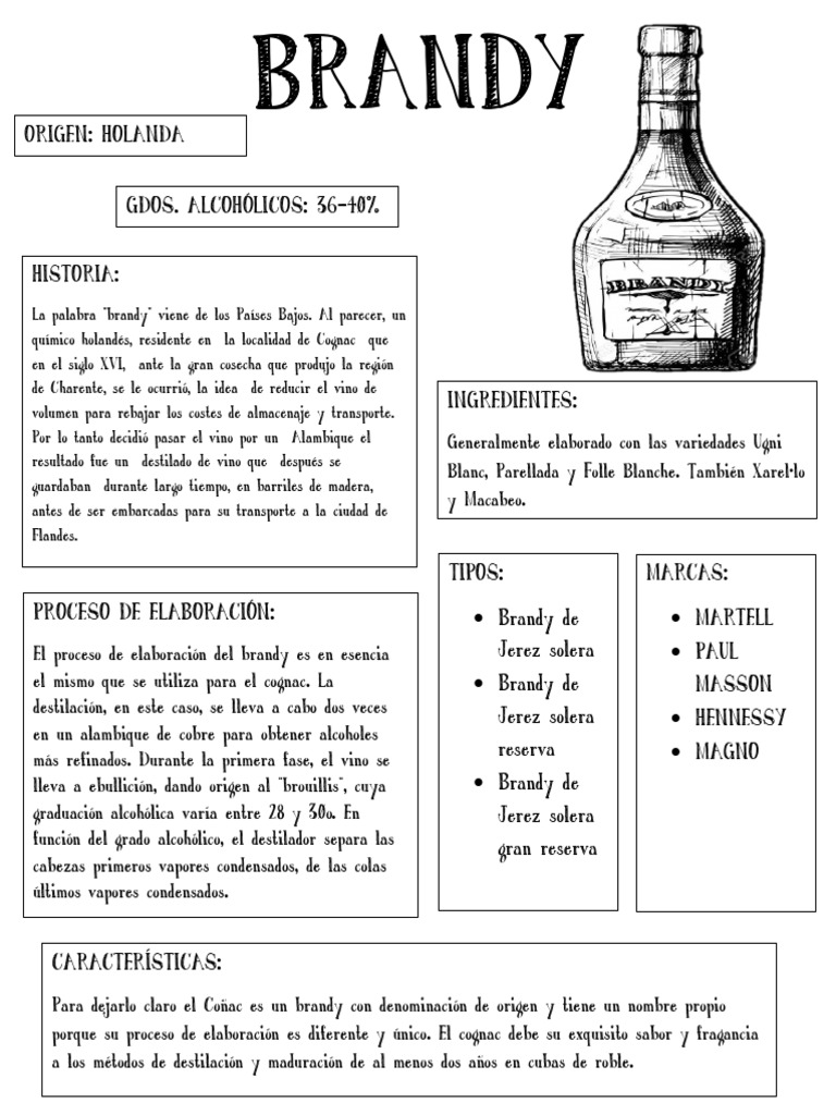 Fichas Cocteleria 5 Brandy | PDF